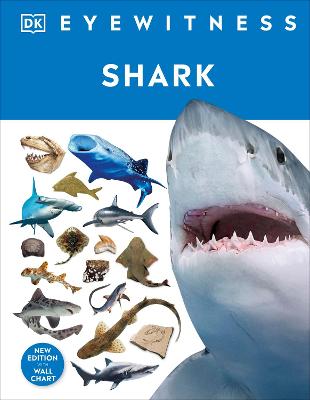 DK Eyewitness: Shark (Hardcover) — Wordsworth Books