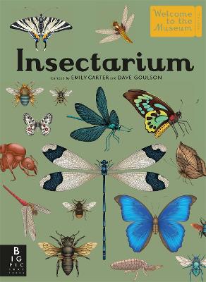 Insectarium (Hardcover) — Wordsworth Books