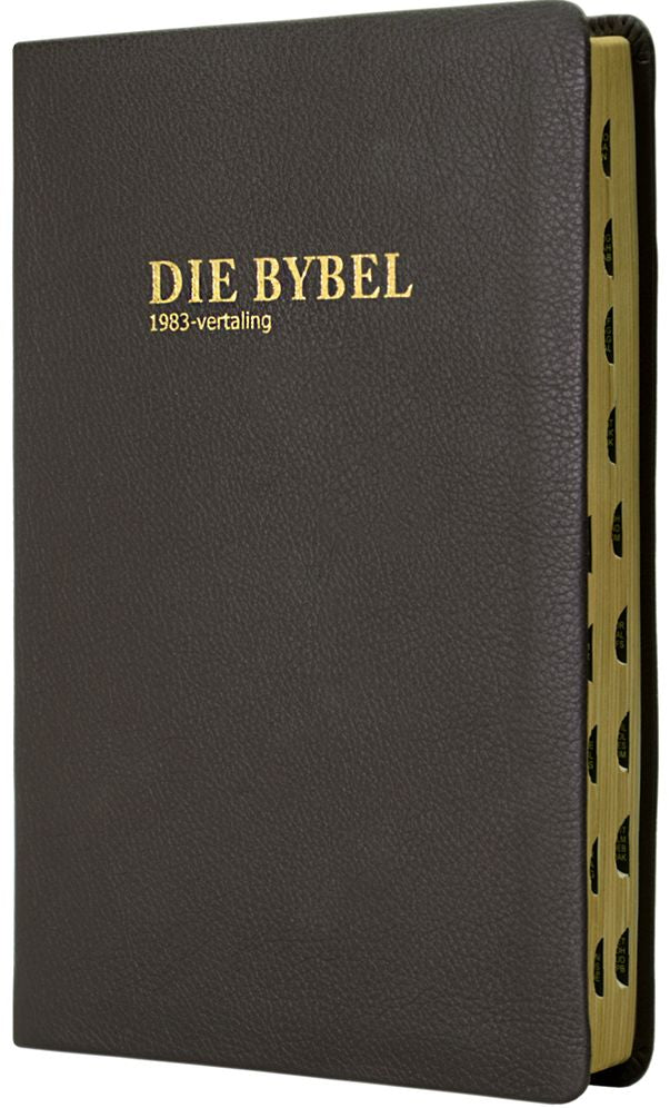 Die Bybel: Afrikaans 1933/1953 Vertaling Bruin Egte Leer Naslaan Bybel ...