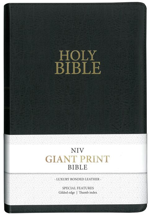 Holy Bible: NIV Giant Print Luxury Bible Black — Wordsworth Books