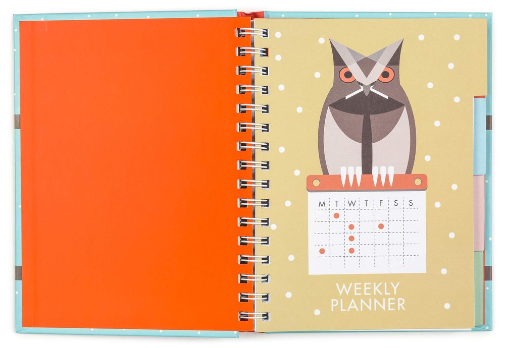 Family Planner (Owls) (Spiral Bound) — Wordsworth Books