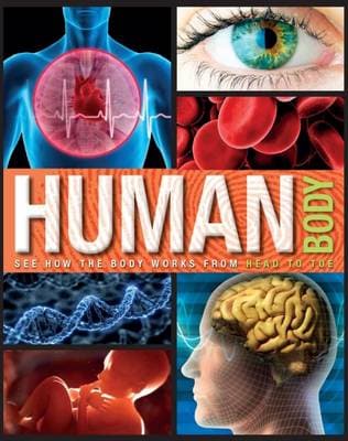 Family Reference Guide Human Body — Wordsworth Books