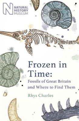 Frozen in Time: Fossils of Great Britain and Where to Find Them ...
