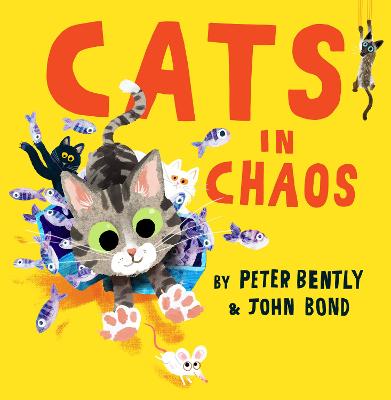 Cats in Chaos — Wordsworth Books