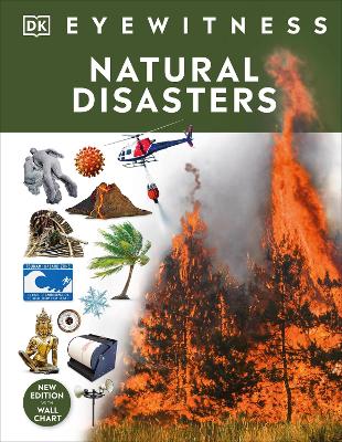 Natural Disasters (Hardcover) — Wordsworth Books