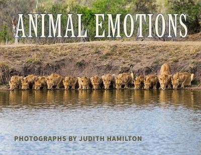 Animal Emotions — Wordsworth Books