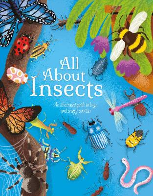 All About Insects: An illustrated guide to bugs and creepy-crawlies ...