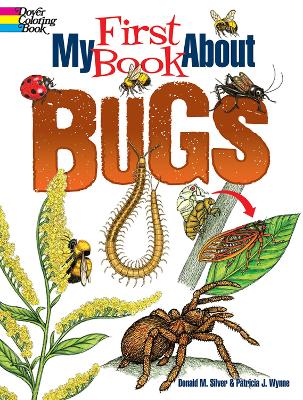 My First Book About Bugs — Wordsworth Books